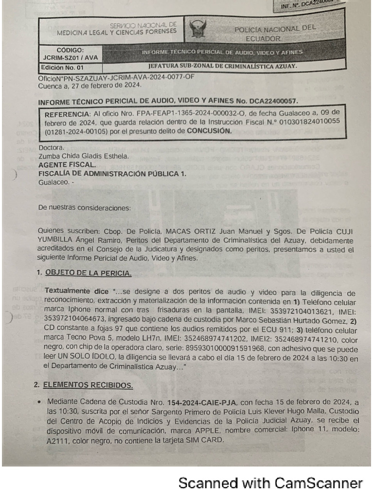 Informe Técnico Pericial de Audio, Video y Afines | PDF