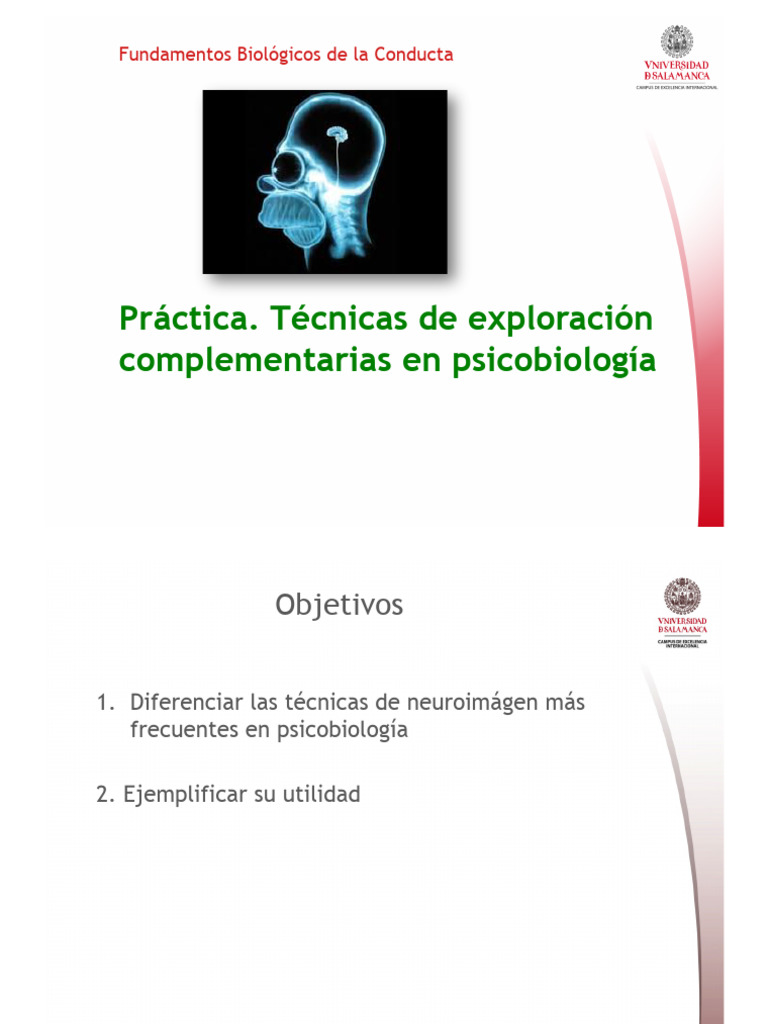 PRACTICA 1. Tecnicas de Exploracion Complementarias | PDF