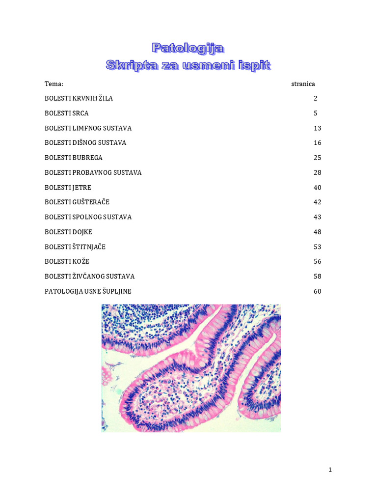 2 - Skripta Za Usmeni Ispit 2017. | PDF