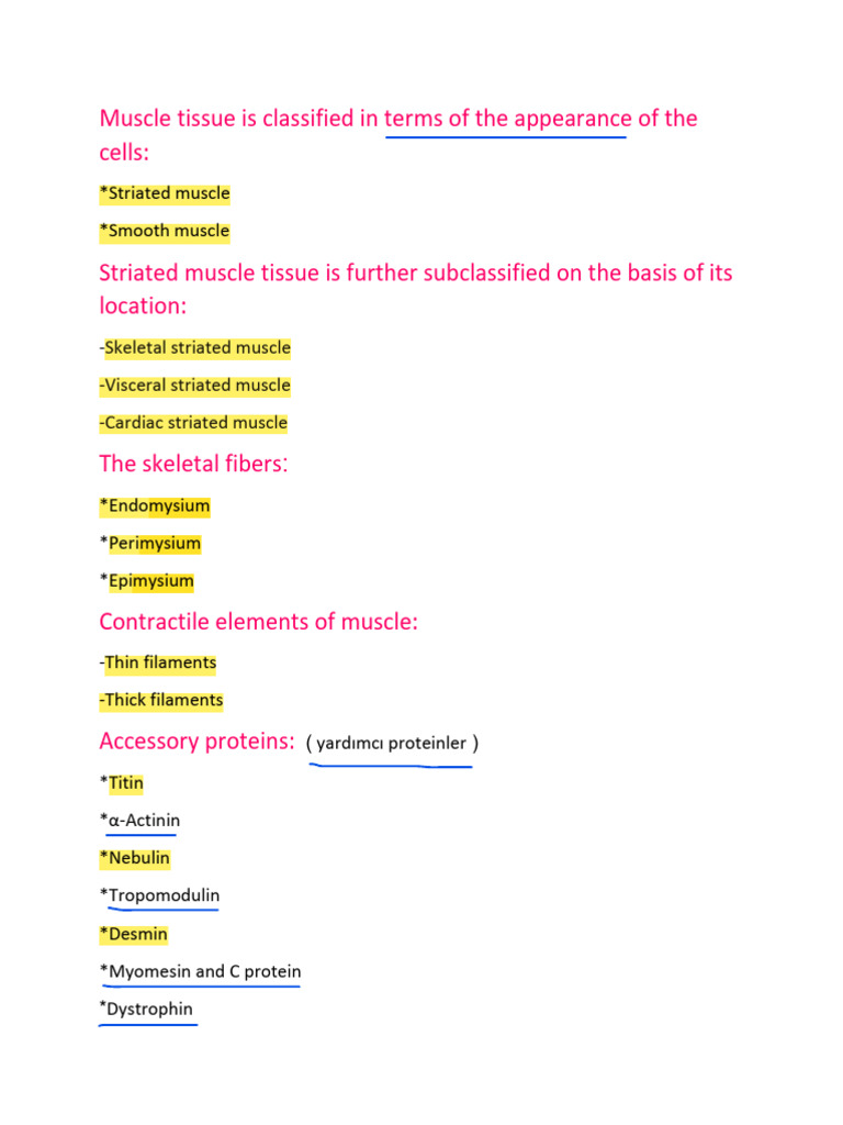 Muscles, Notes | PDF