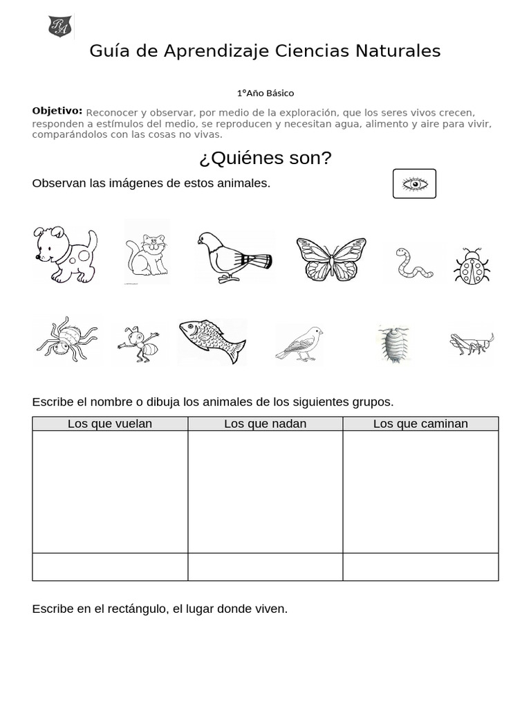 Guía de Ciencias Naturales seres vivos | PDF