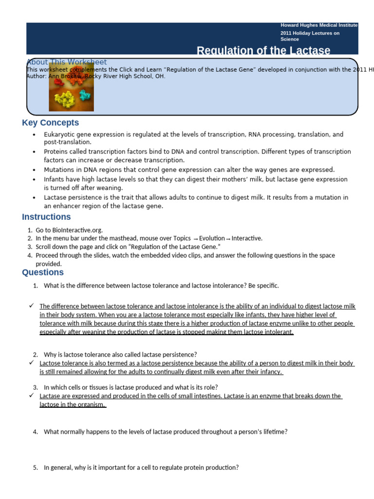 Regulation Lactase Gene Click Learn Worksheet | PDF
