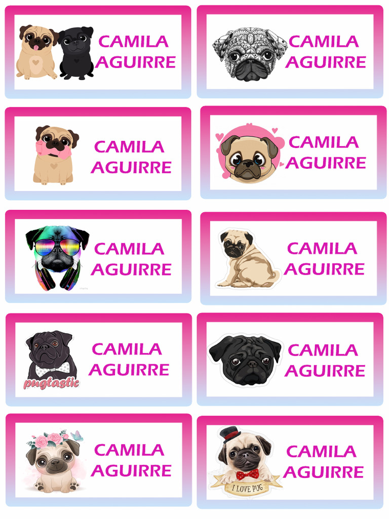 Sticker Cami | PDF