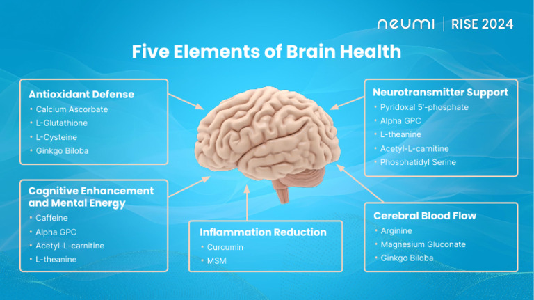 Five Elements of The Brain Slide | PDF