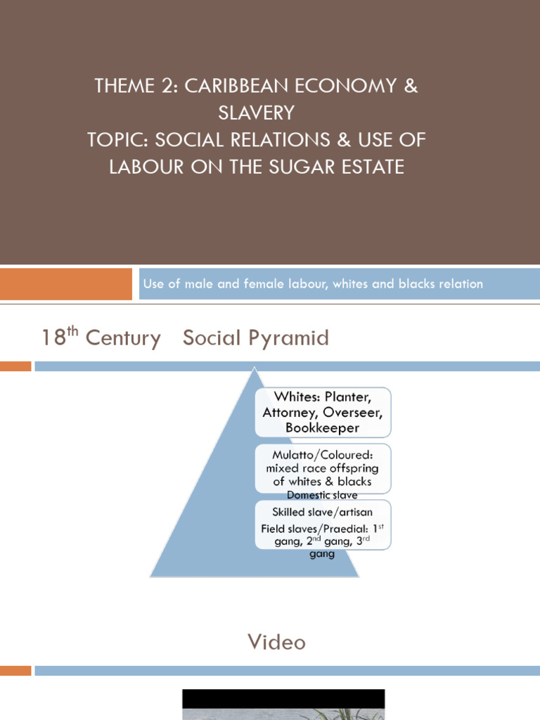 Social Relations On The Sugar Estate | PDF