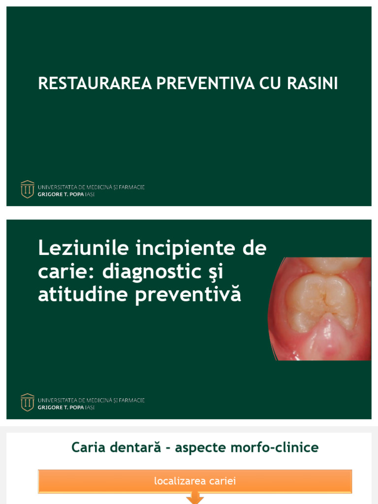 Curs 9 Anul III Ro 2020-2021 RPR | PDF