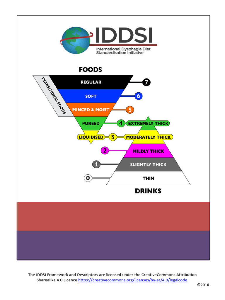 Iddsi Food Descriptors | PDF