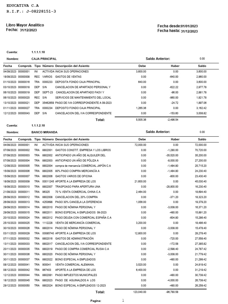 Felix 8.229.121-618 TP 2024-1 Libro Mayor Contable (Analítico) 2023 | PDF