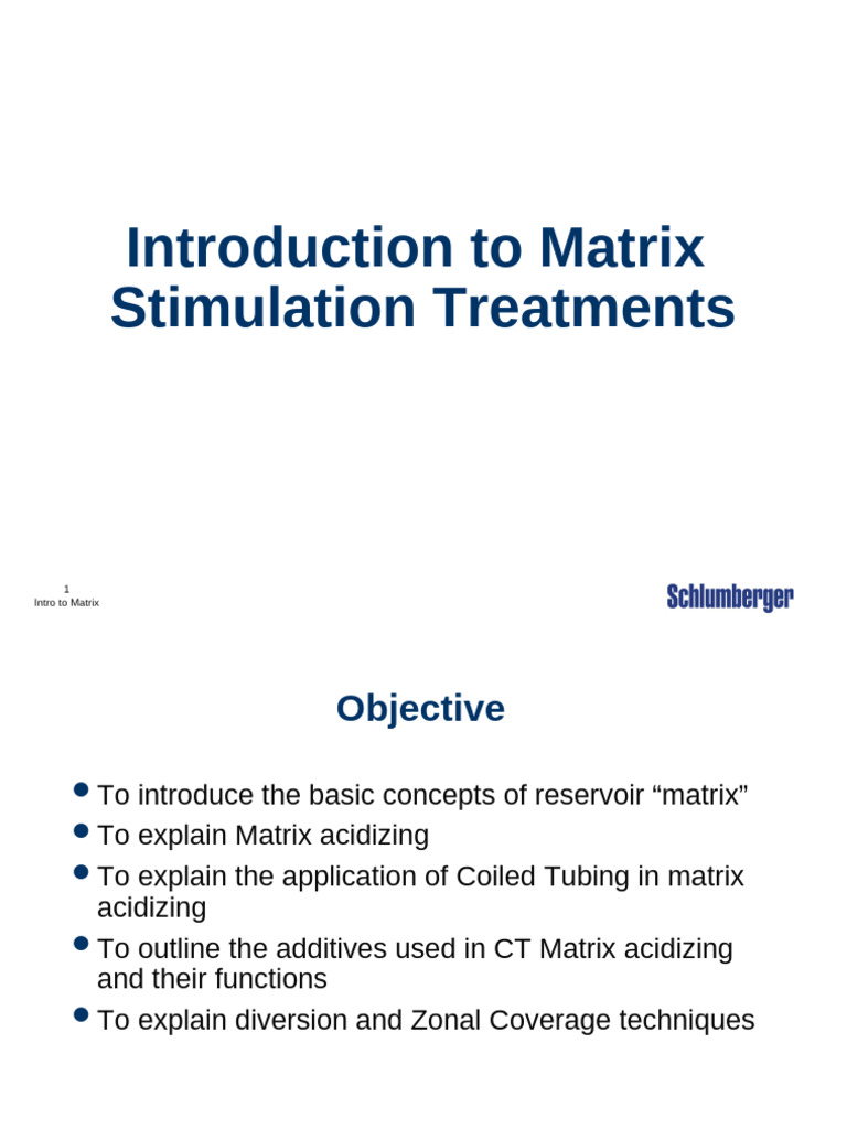 FES CT Matrix (Intro To Matrix Stimu Treatmt) | PDF