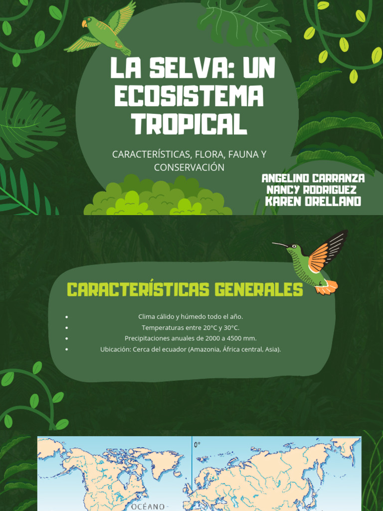 La Selva Un Ecosistema Tropical Pdf
