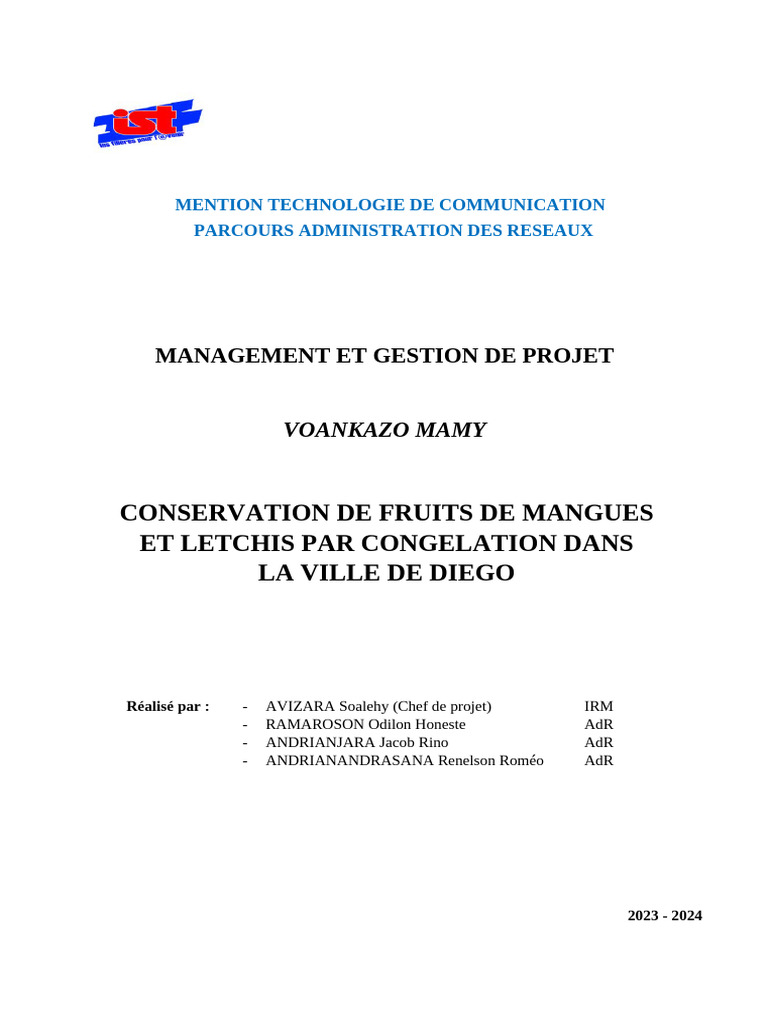 Rapport MPG 2024 | PDF | Technology & Engineering