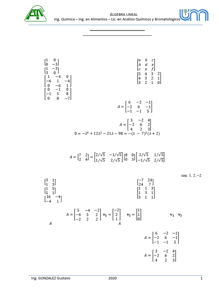 Guía N9 - Matrices simétricas y formas cuadradas | PDF