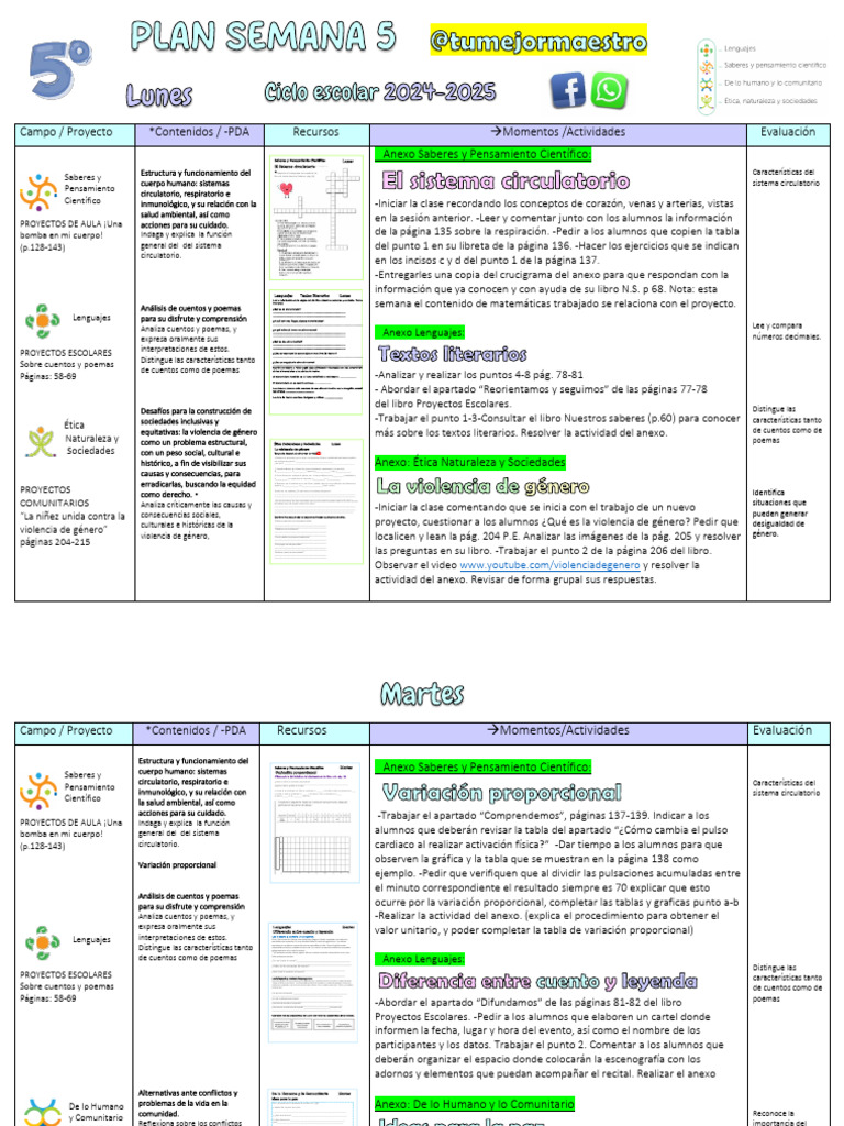 5° Plan 5 24-25 Tumejormaestro | PDF