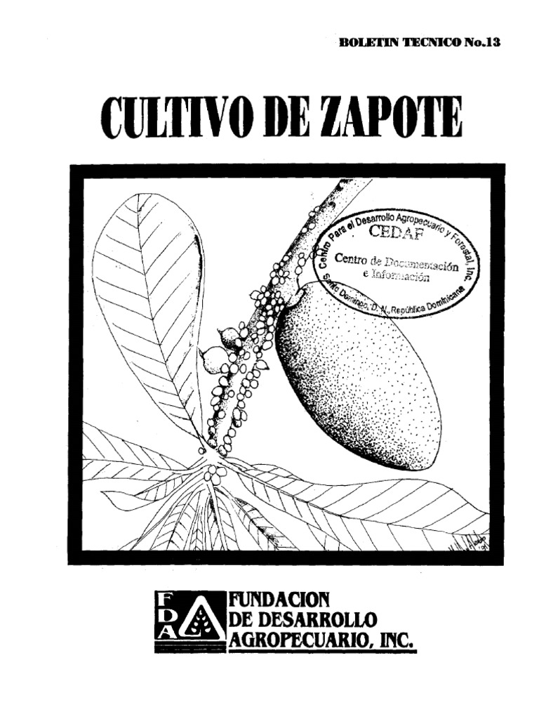 Zapote | PDF