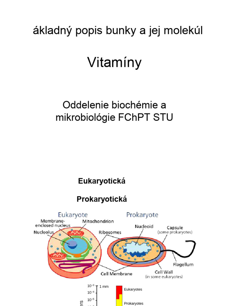 Bunkaajejmolekuly | PDF