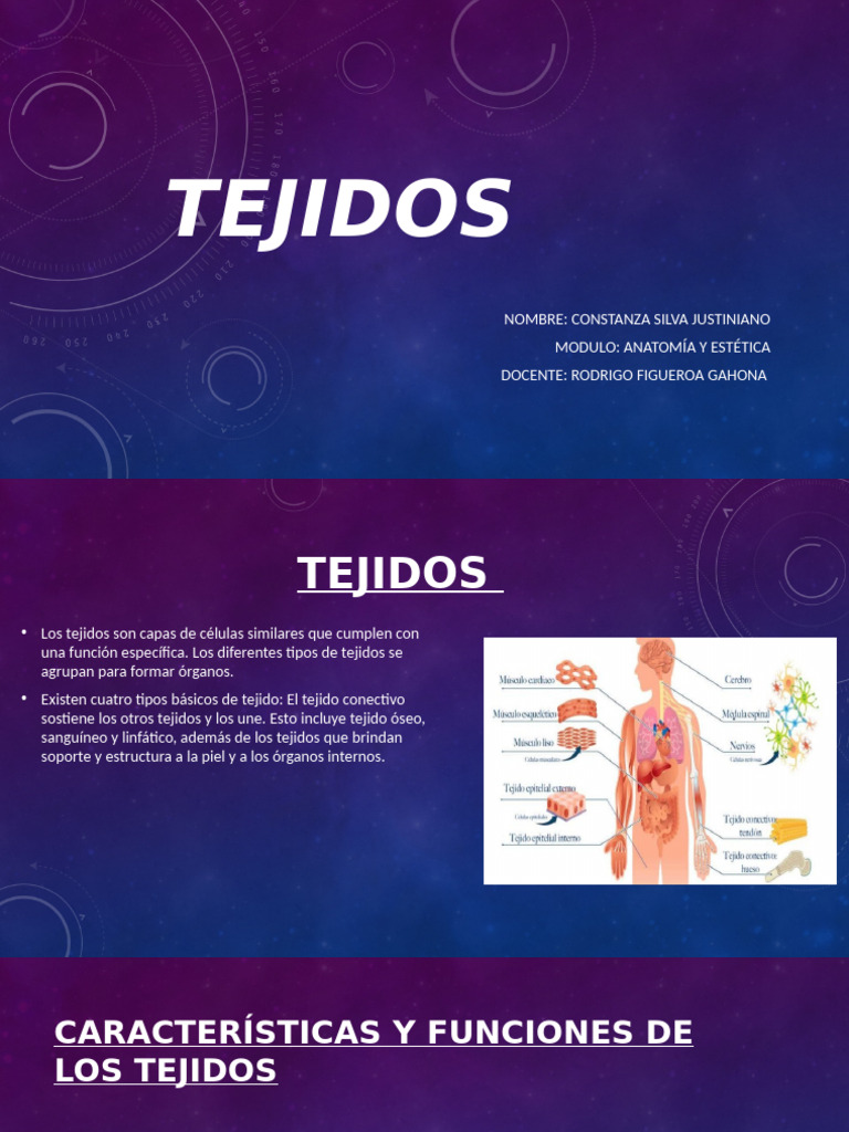 Los Tejidos | PDF