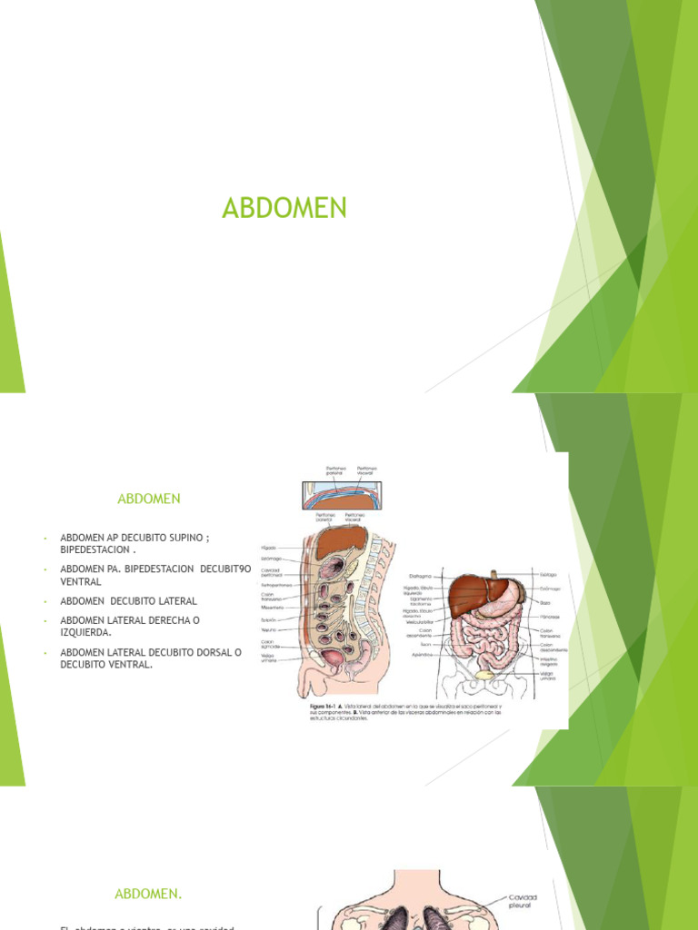 ABDOMEN | PDF