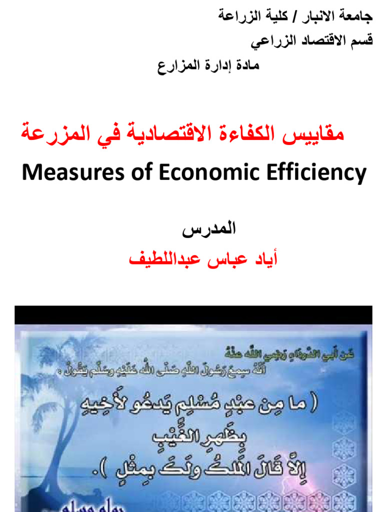 Measures of Economic Efficiency | PDF
