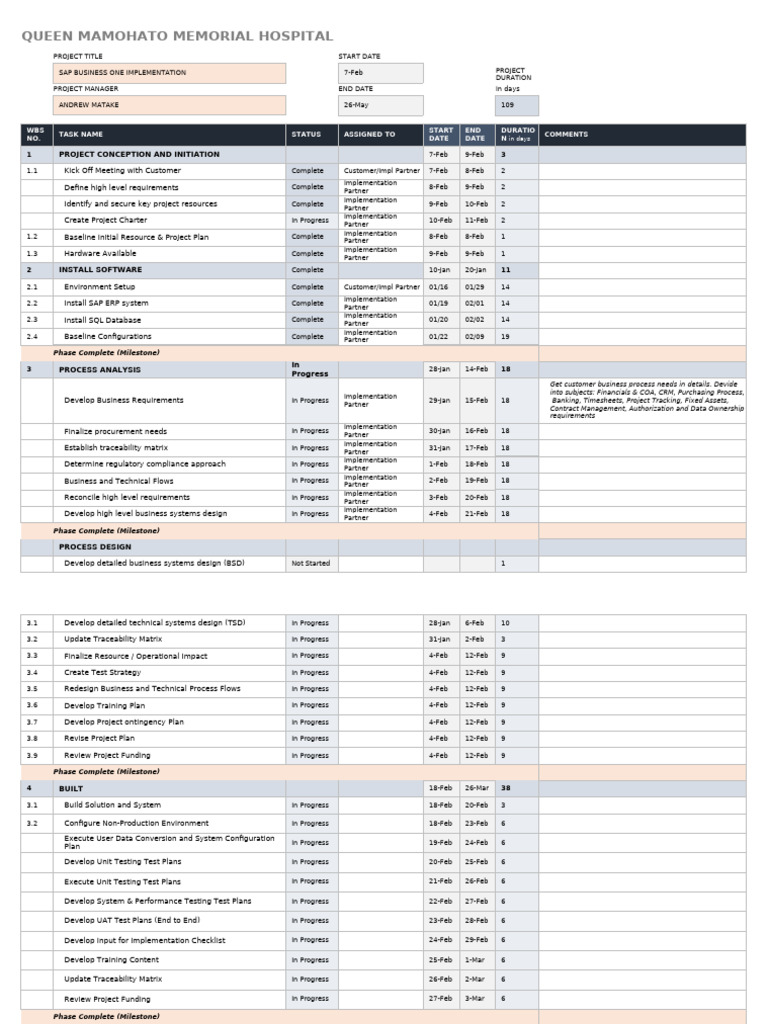 IC Project Plan Template 8538 V1 | PDF