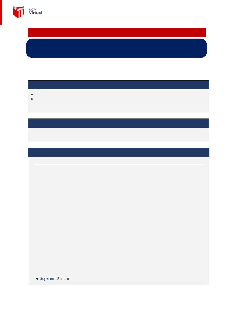 Indicaciones para El Desarrollo de PAI - S5 | PDF | Finanzas y administración del dinero