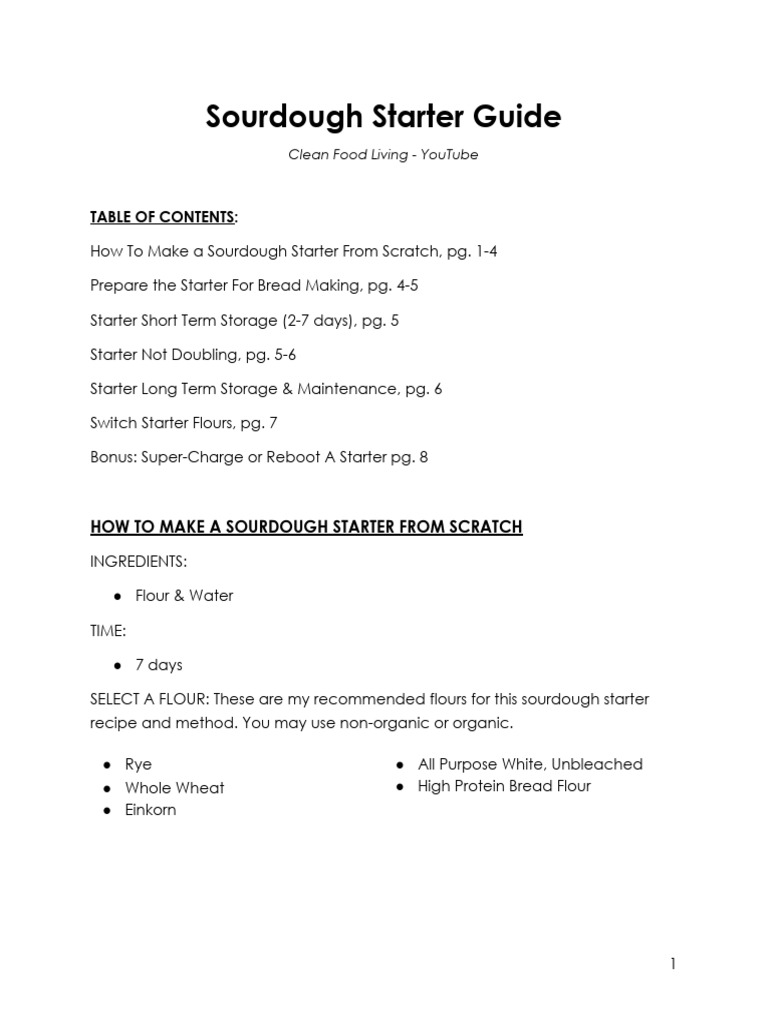 Sourdough Starter Guide | PDF
