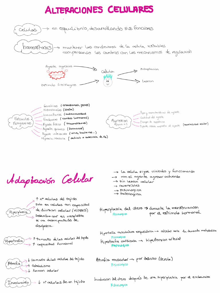 TEMA 5 - ALTERACIONES CELULARES | PDF