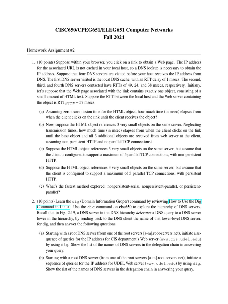 CISC650/CPEG651/ELEG651 Computer Networks Fall 2024: Homework Assignment #2 | PDF