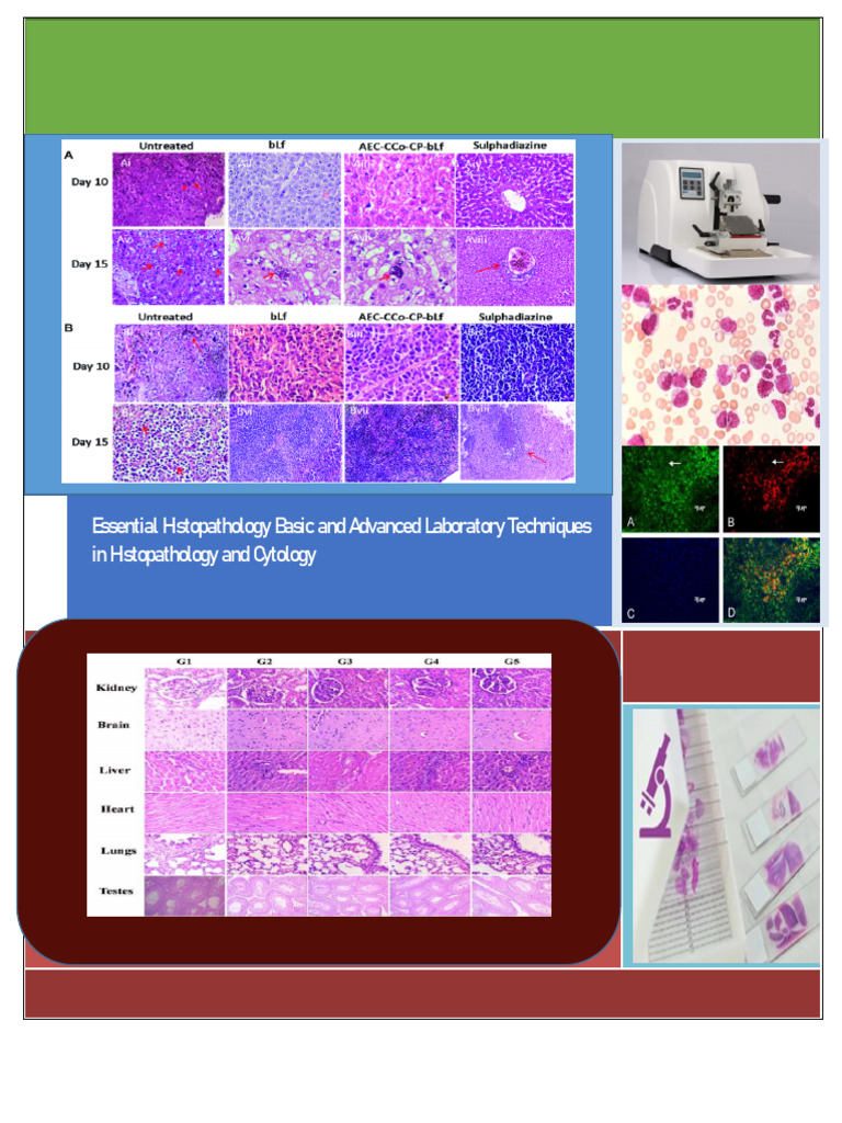 Essential Histopathologys | PDF