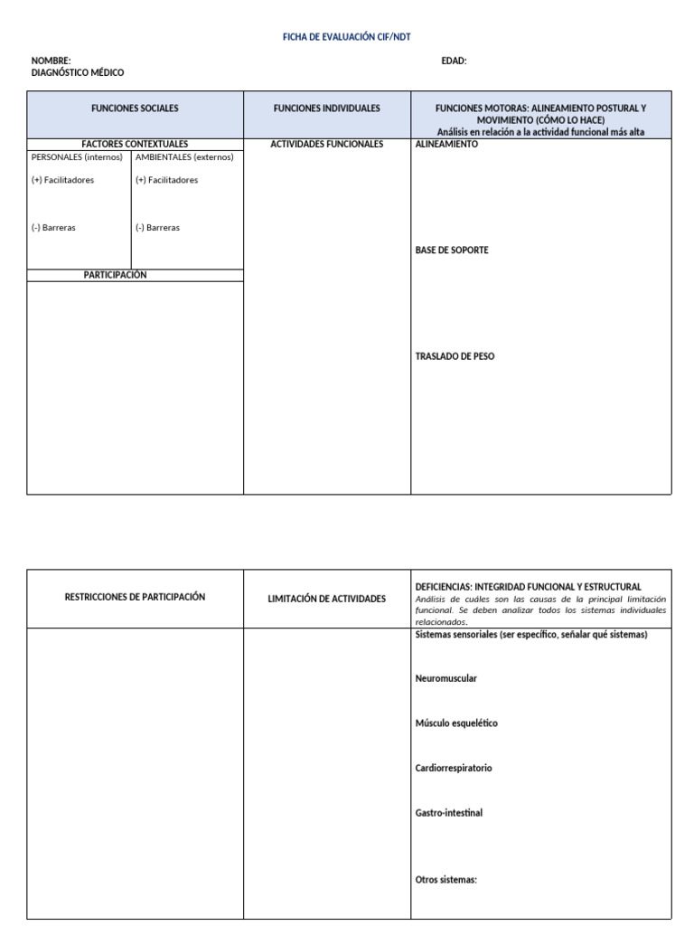 Formato Ficha CIF - NDT 2023 | PDF