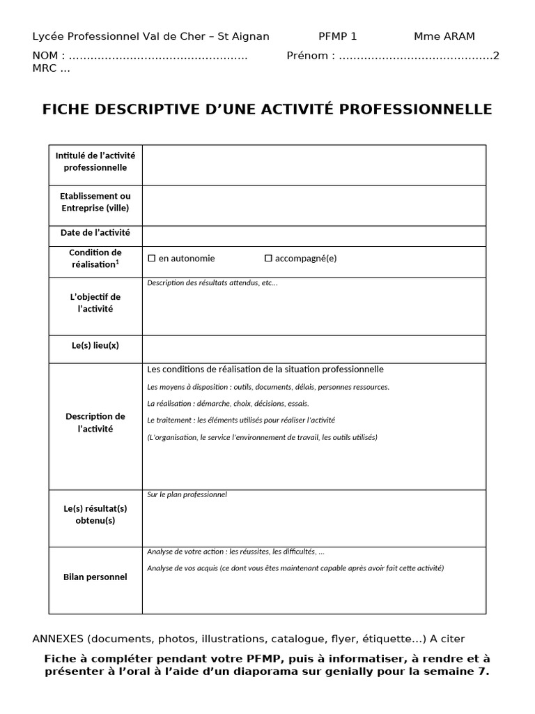 Exemple Fiche Descriptive Activite Professionnelle | PDF