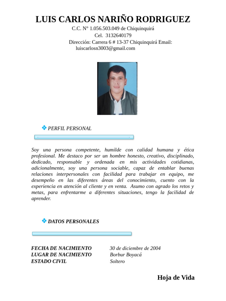 Hoja de Vida Luis Carlos | PDF