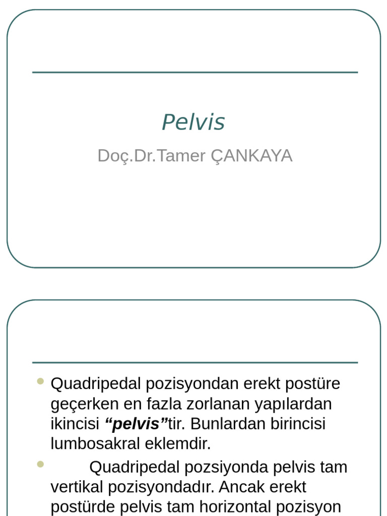 Kinezyoloji Ders 8 | PDF