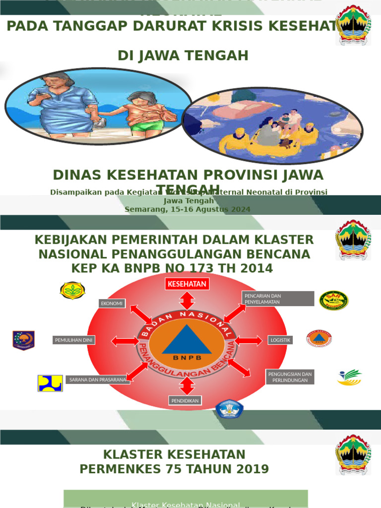 Pelayanan Kesehatan Matneo Pada Krisis Bencana LPPM Undip | PDF