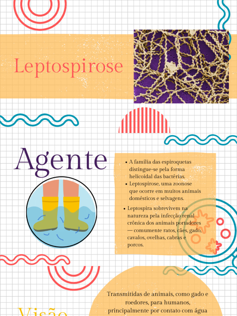 Leptospirose | PDF