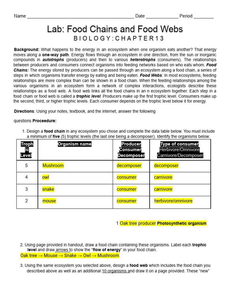 JORDAN MCGREGORY - Copy of Lab Food Chain Web 2012 | PDF