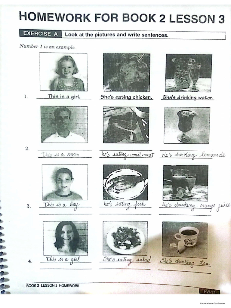 HOMEWORK FOR BOOK 2 LESSON 3 | PDF