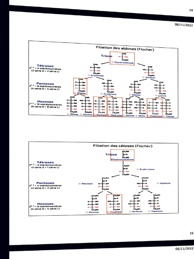 Pentoses: Filiation Aldoses | PDF