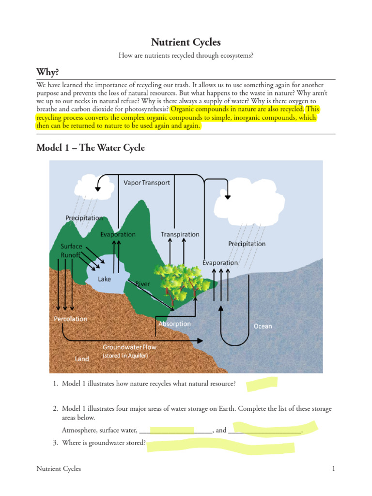 JORDAN MCGREGORY - Cycles of Matter POGIL PDF | PDF