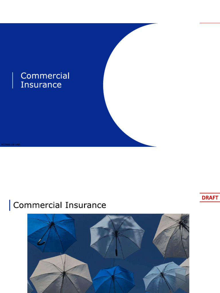 Commercial Insurance | PDF