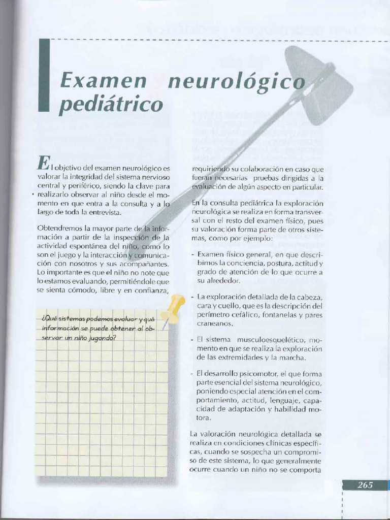 Neuro Pedia | PDF | Grammatical Number