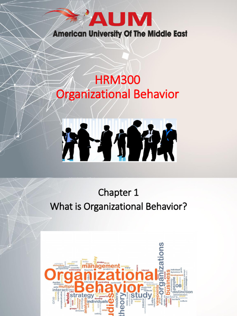 Chapter 1 - What Is Organizational Behavior | PDF