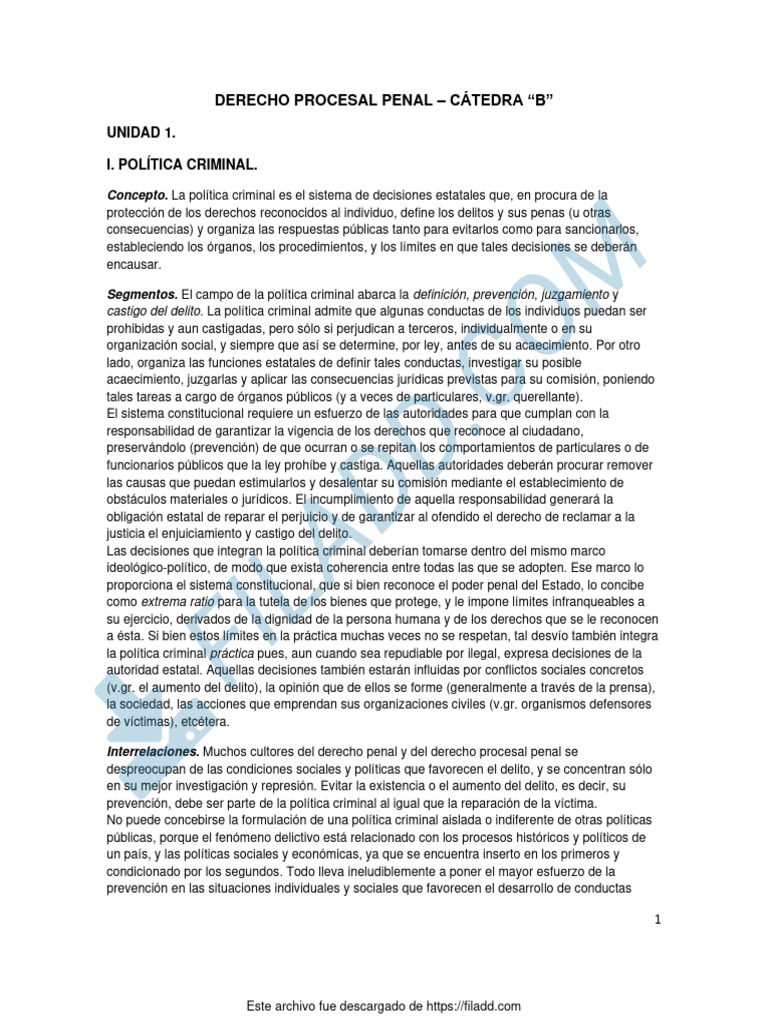 Resumen DPP 1 | PDF