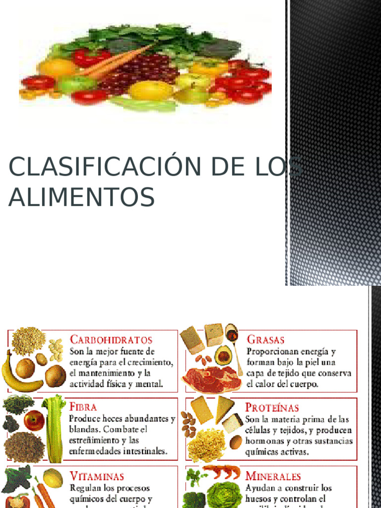 Clasificación de Los Alimentos | PDF