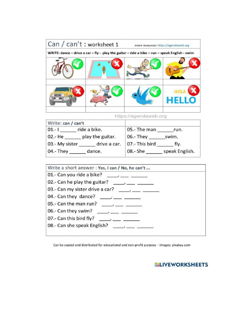 Can and Cant Worksheets | PDF