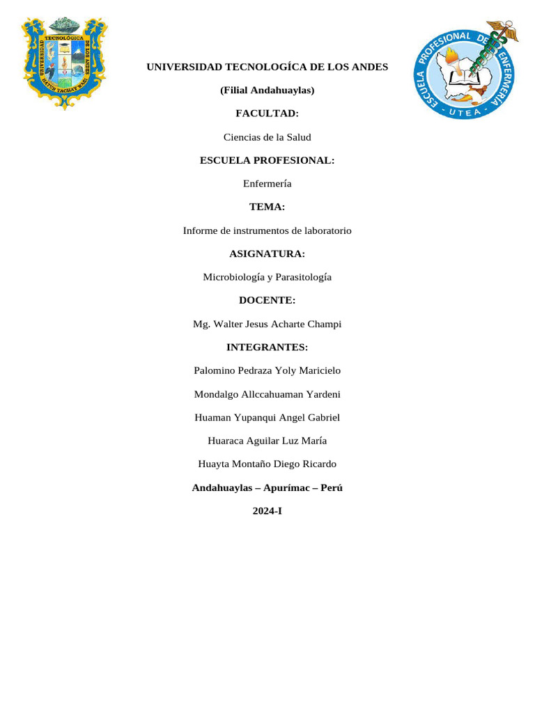 Informe Micro 1.5 | PDF