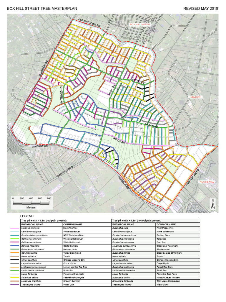 Box Hill Street Tree Masterplan | PDF | Botany | Eucalyptus