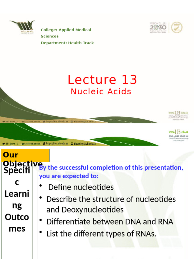 Lecture 13. Nuceic Acids | PDF