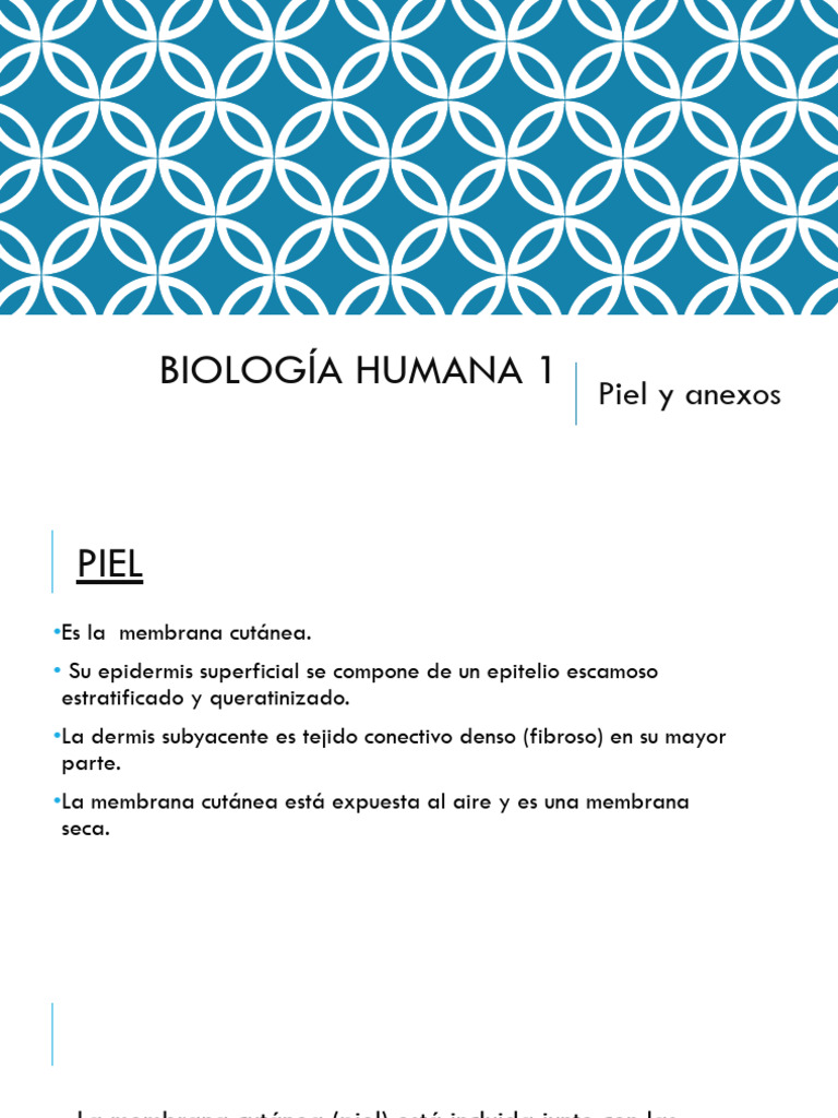 Biologia Humana LA PIEL Y SUS ANEXOS | PDF