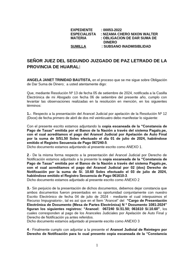 Escrito Subsanación Angie Exp. 00053-2022 | PDF