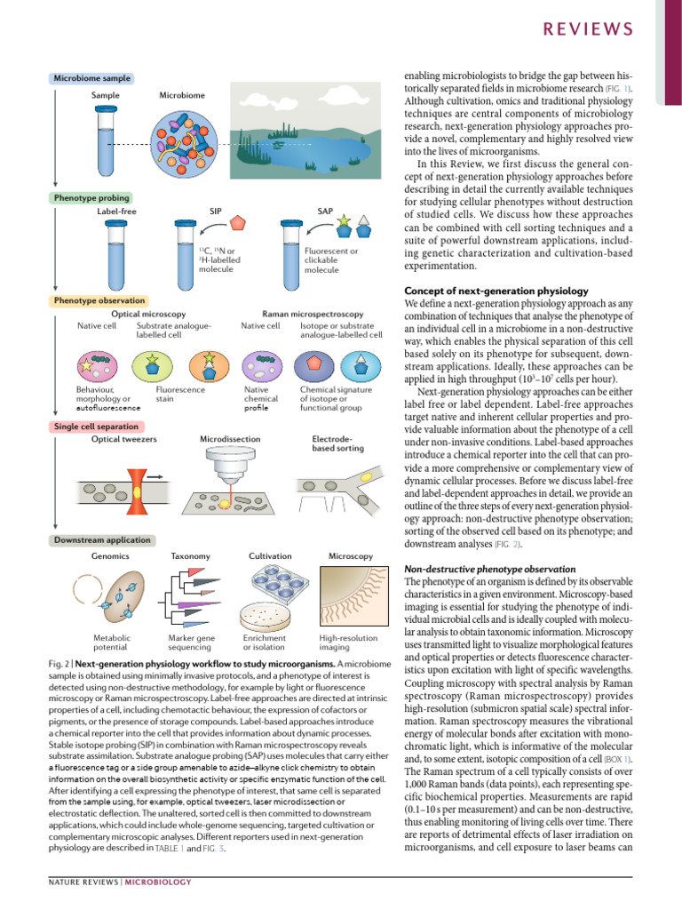 Next-Generation Physiology Approaches To Study Microbiome Function at ...